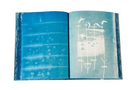 Cyanotype 2018 2021