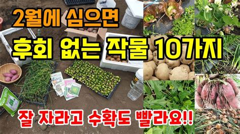 2월에 심는 추천작물10가지 지금 심어도 빨리잘자라고 수확도 빨라요 안심으면 후회합니다 Youtube