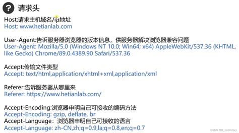 Ctf Web真零基础入门ctf Web Csdn博客