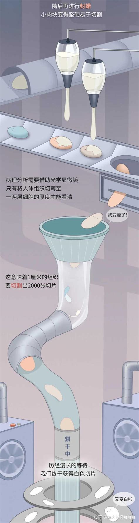 手术小知识图解术中标本的处理 标本处理 社区 小桔灯网 体外诊断新媒体 IIVD NET