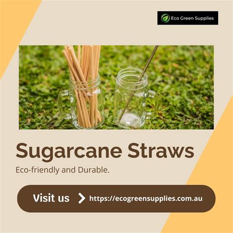 Benefits Of Using Eco Friendly Straws For Drinking — Eco Green Supplies