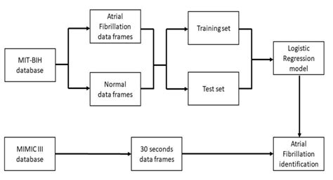 Data Flow Of Atrial Fibrillation Identification Framework Download Scientific Diagram