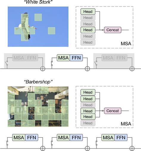 AdaViT Adaptive Vision Transformers For Efficient Image Recognition