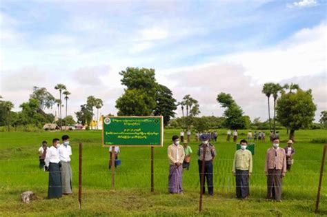 ငါန်းဇွန်မြို့နယ်တွင် မိုးစပါး Rs Cs မျိုးစေ့ထုတ်စိုက်ခင်းများ တစ်ဧက တင်း ၁၀၀ ထွက်ရှိရေး စံပြကွက