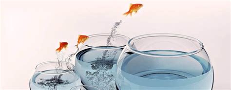 How To Remove Old Database Migrations In Ruby On Rails Rrails