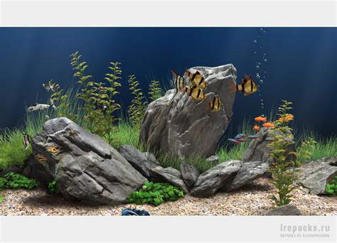 Dream Aquarium 1 293 Repack And Portable Авторские репаки от