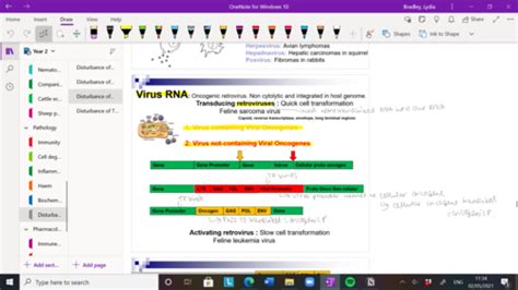 Year 2 Disturbances In Tissue Growth Flashcards Quizlet