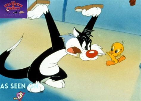 Sylvester And Tweety Mysteries 1995 Tweety Sylvester Anime