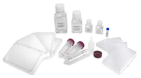 New Products For Exosome Isolation To Mrna Purification Exosome Rna