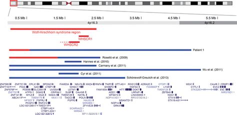 Duplication Of The Wolf Hirschhorn Region In Patient 1 Map Of