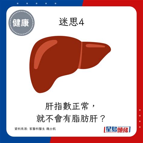 身形纖瘦也會患脂肪肝？吃保健品仍不能避免？醫生拆解脂肪肝4大迷思 星島日報
