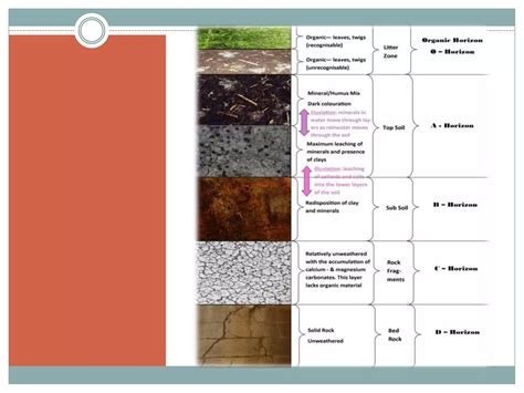 Soil And Its Type Ppt Pptx