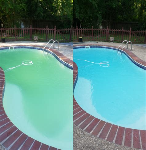 How To Get Rid Of Mustard Algae In A Pool Artofit