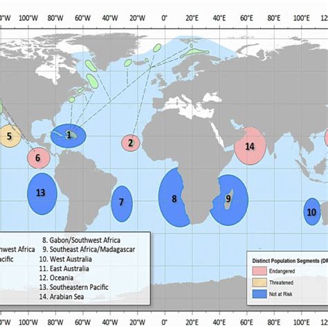 Spectrogram Showing A Segment Of Seconds Of An Humpback Whale Song Download Scientific Diagram
