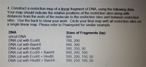 Solved 4 Construct A Restriction Map Of A Linear Fragment