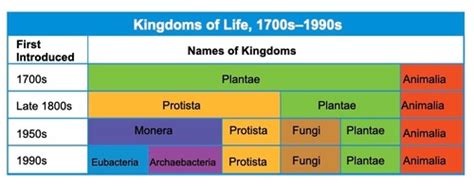 Classification Taxonomy Test Flashcards Quizlet