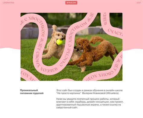 Сайт для питомника пуделей On Behance