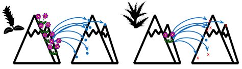 Ecological Traits Matter Biogeographynews