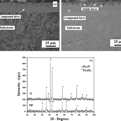 Cross Sectional View Of The Microstructure For A N Sample B Np Download Scientific Diagram