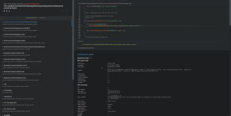 trying to install sage 10 manifest json cannot be found sage