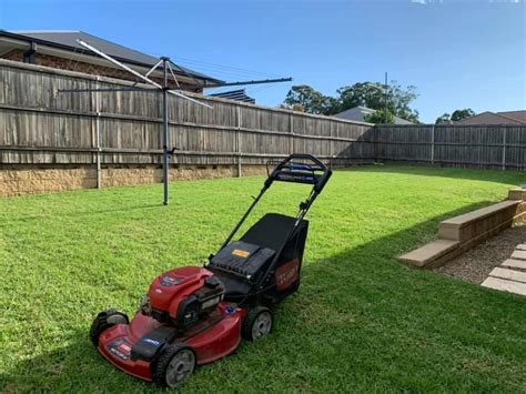 Proscape Lawns And Gardens 🌲we Are Now Taking Bookings For Lawn Renovations 🌲 ️weed Removal