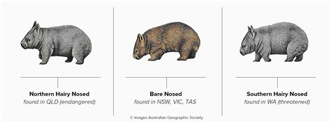 Care And Facts — Wpsa