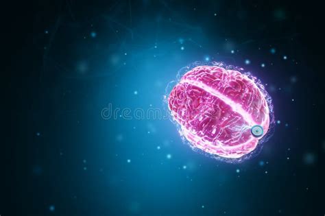 A Chip Implanted In The Brain Neurotechnology A Microprocessor Connected Electrically To Human