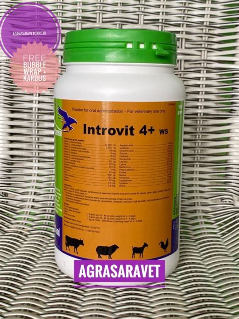 Introvit 4 Ws 1kg Plus 1 Kg Lazada Indonesia