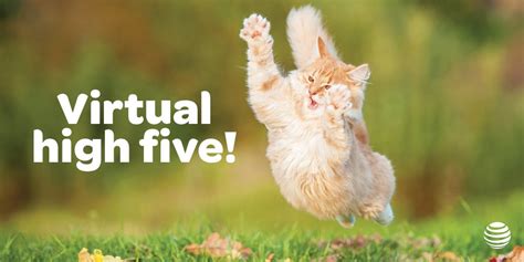 Woohoo Cat