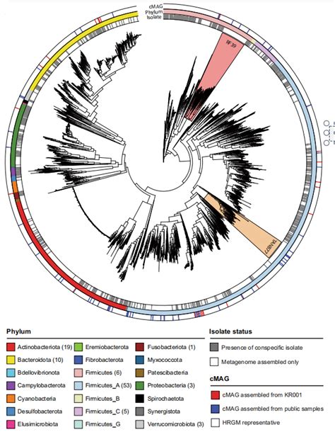 宏基因组组装 生信小木屋