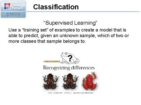 Classification Prediction Classification Supervised Learning Use A Training