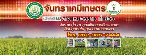 กลุ่มสาระศิลปะ กลุ่มสาระศิลปะ โรงเรียนกรรณสูตศึกษาลัย