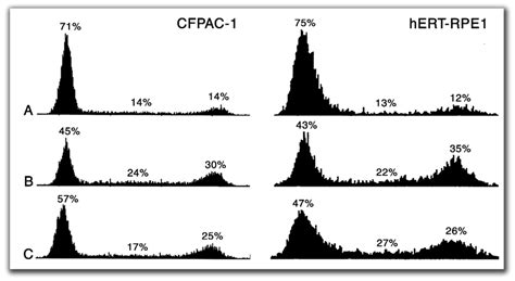 Fluorescence Activated Cell Sorting Profiles Of Actively Growing