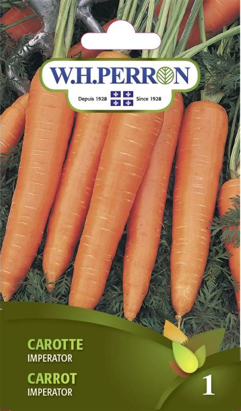 Carrot Imperator Seeds Jardineries Botanix