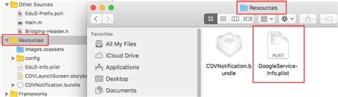 Problem With Putting Googleservices Info Plist Issue Fechanique Cordova Plugin Fcm Github