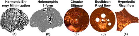 Various Conformal Parameterization Results Download Scientific Diagram