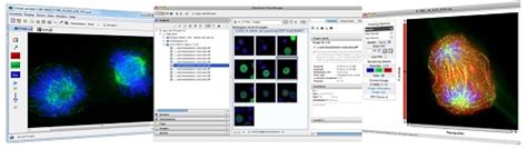 Integrated Bioimaging Facility IBiOs At CellNanOs