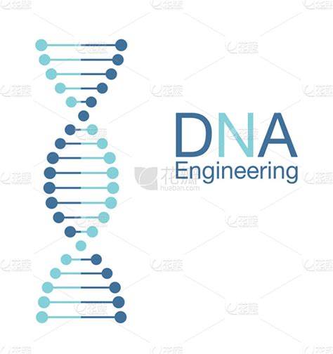 脱氧核糖核酸 绘画插图 符号 计算机图标 矢量 细的 线条 概念 生物学 螺旋