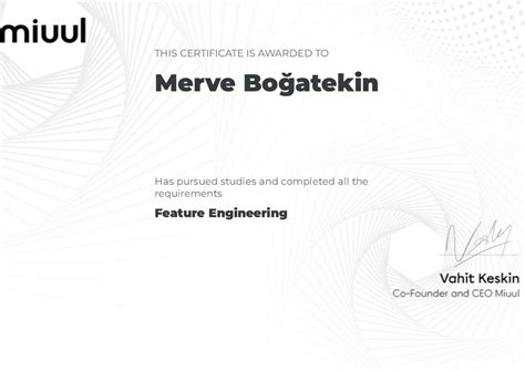 feature engineering machinelearning miuul merve boğatekin