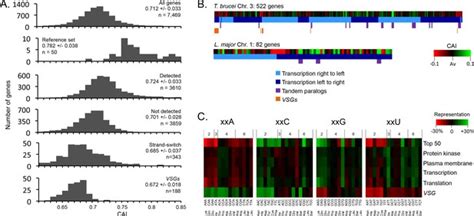 figures and data in codon usage bias controls mrna and protein