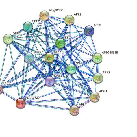 Conserved Motifs And Exon Intron Structure Of Ss Genes In G Arboreum G