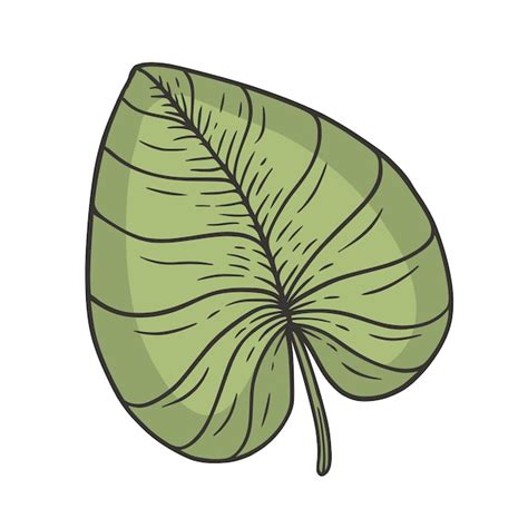 Premium Vector Tropical Leaf Doodle Vector Illustration