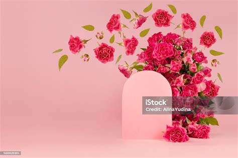 봄 추상 단계 분홍색의 신선한 스프레이 장미의 아치 새싹의 부상과 연단 모형으로 빈 둥근 공간 흰색 배경에 흐름으로 녹색 잎