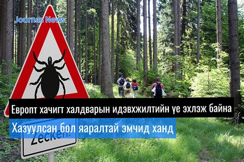 ХАЧИГТ ХАЛДВАР ХҮНДЭРВЭЛ ХҮНИЙ ТӨВ МЭДРЭЛИЙН СИСТЕМИЙГ ГЭМТЭЭДЭГ