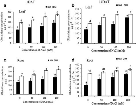 Influence Of Nacl And Glomus Intraradices Inoculation On Leaf A B Download Scientific