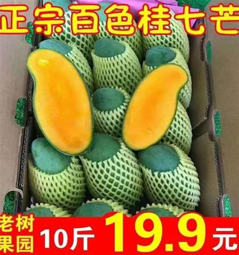 桂七芒果早熟正宗广西香芒新鲜水果10斤5斤桂七芒大芒果当天现摘虎窝淘