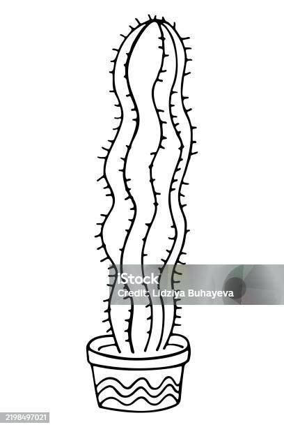 손으로 그린 윤곽선 다육 식물 절연 통 백색 배경 사막에 꽃이 있습니다 벡터 일러스트 레이 션 색칠 공부 책 인사말 카드 인쇄에 적합합니다 검은색에 대한 스톡 벡터 아트 및