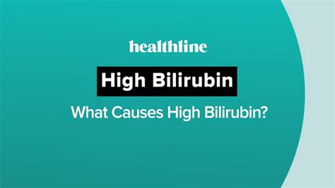 Elevated Bilirubin Bilirubin Test Price Normal Range And Results