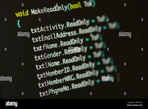 Real C Code Developing Screen Programing Workflow Abstract Algorithm