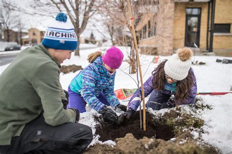 École Gentilly Ici On Verdit
